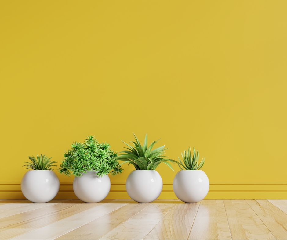 Wellbeing & The Conscious Leader - Acaria